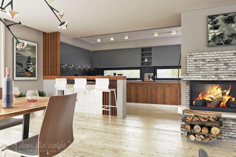 projekt domu DD1597 Magnetyt z garażem 2-st. [A] - Murator projekty