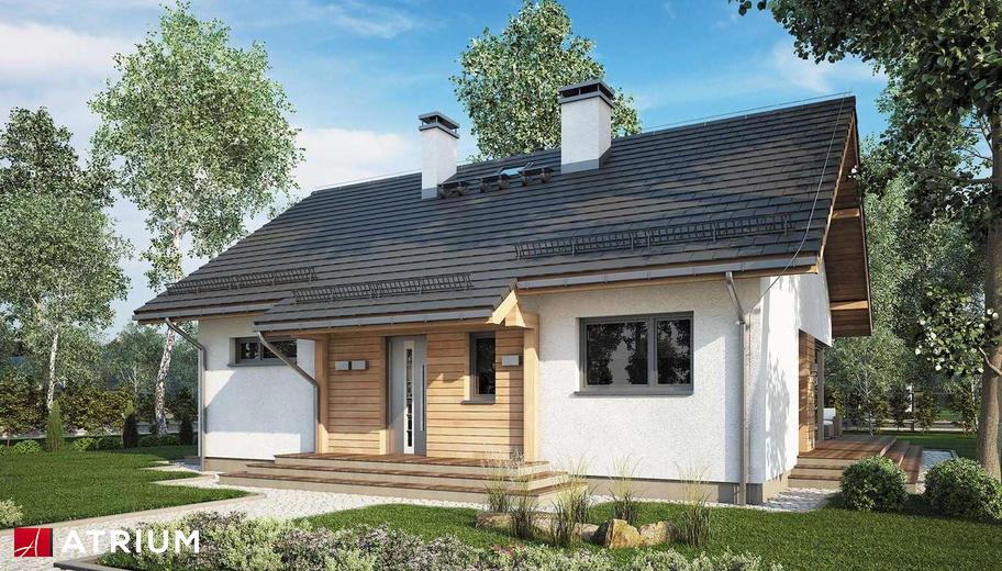 projekt domu GL1320 Amber XIV - Murator projekty